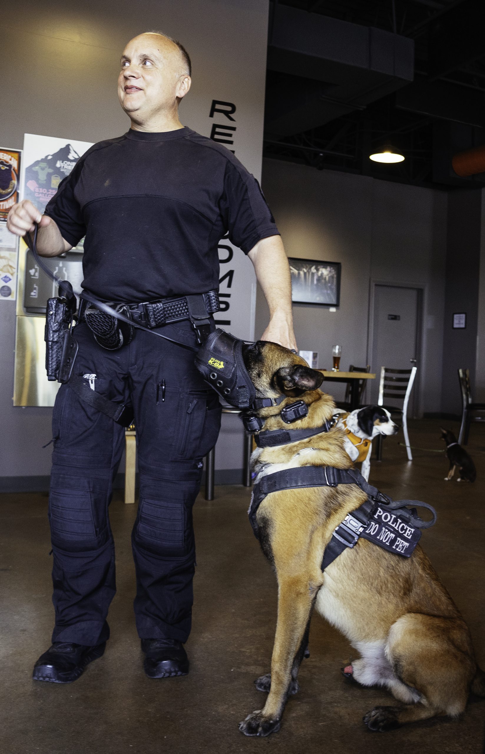 Home - UpDog Mobile Groomer